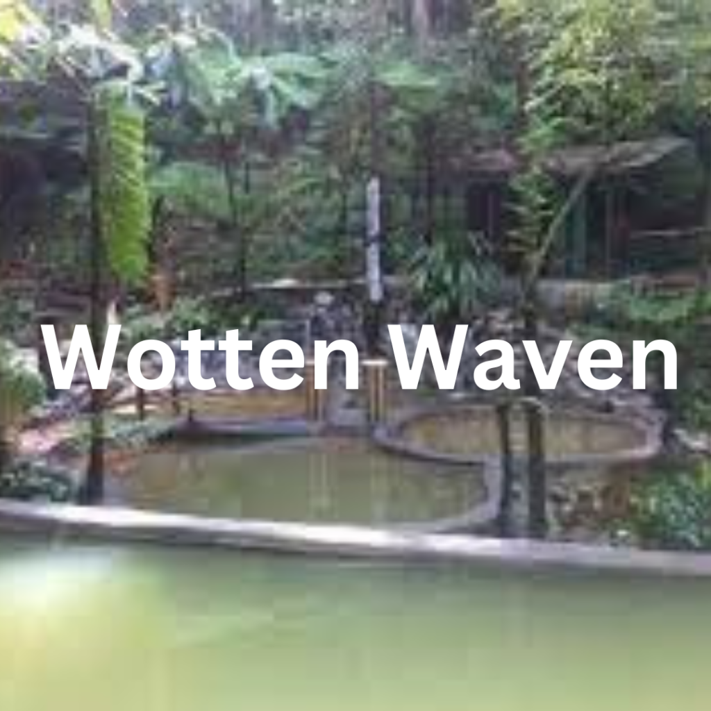 The LaidBack Experience Tours